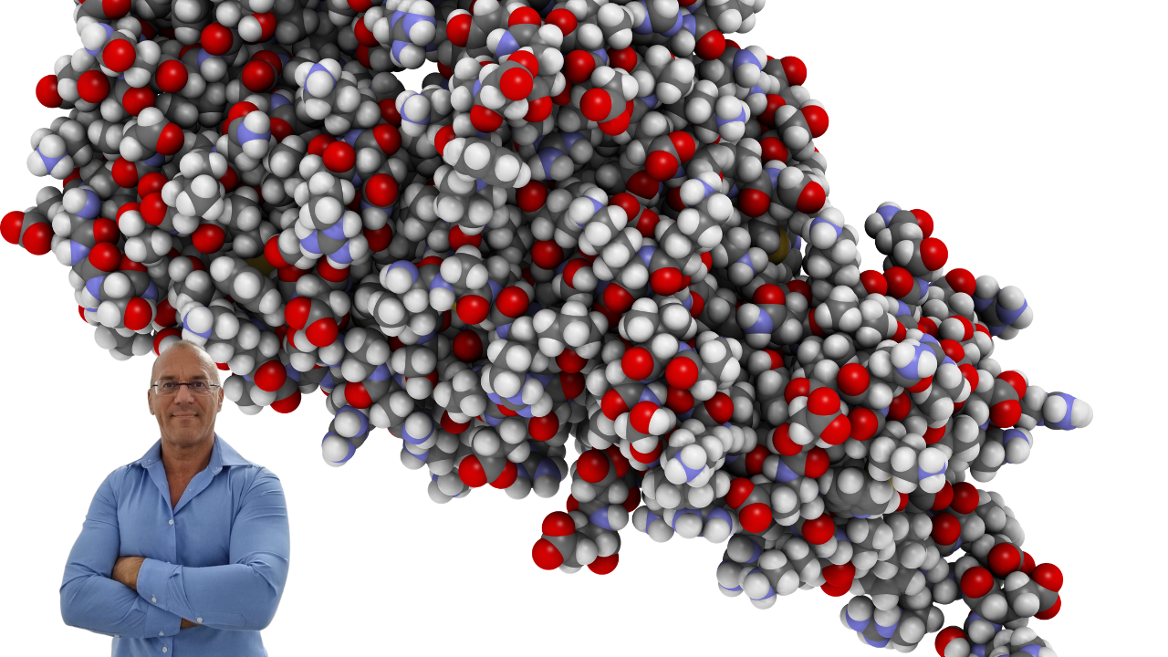 Ormoni alimenti e integratori che possono aumentare la libido ...